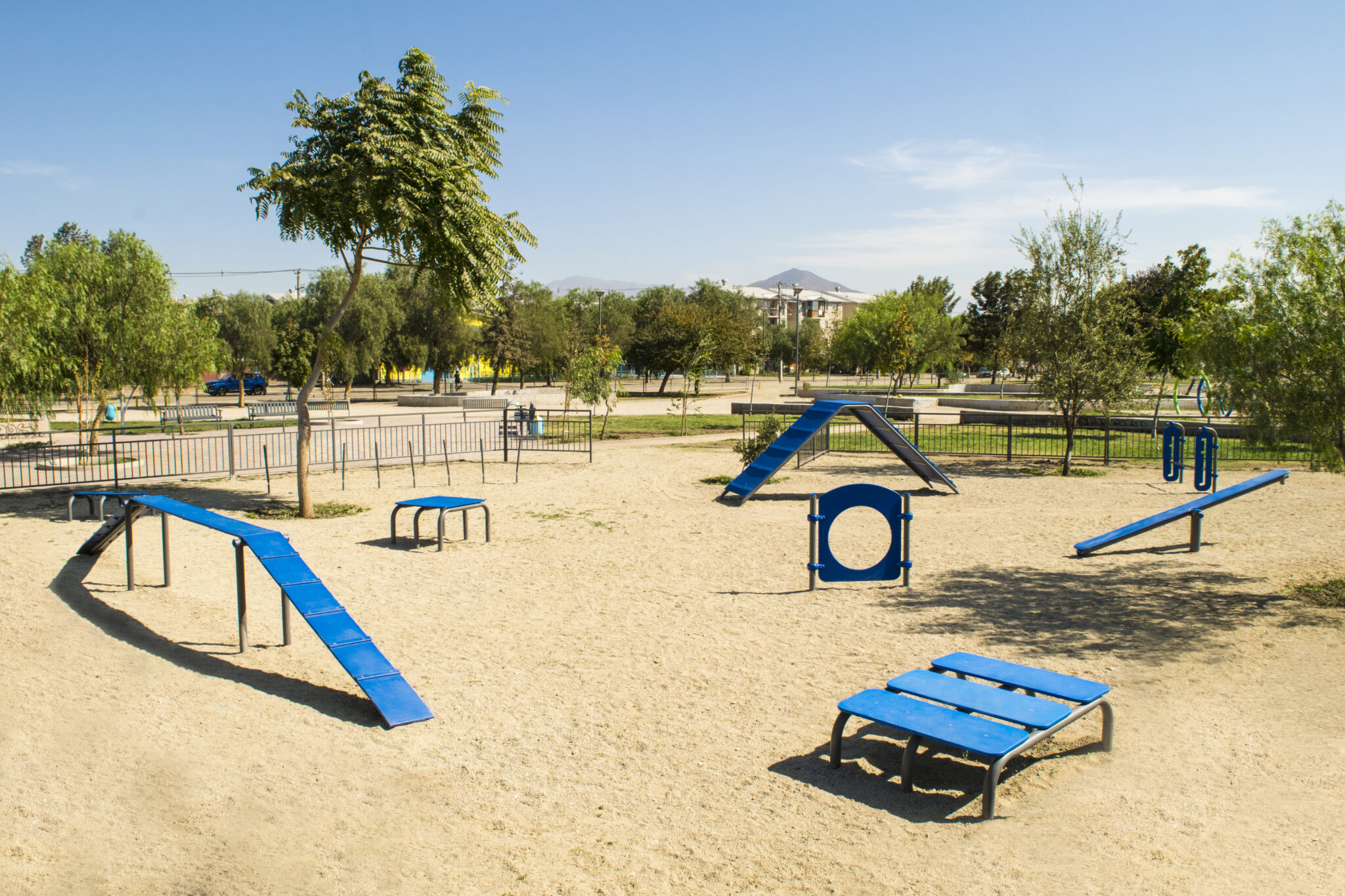 Circuitos Caninos Agility - Obstáculos de Entrenamiento